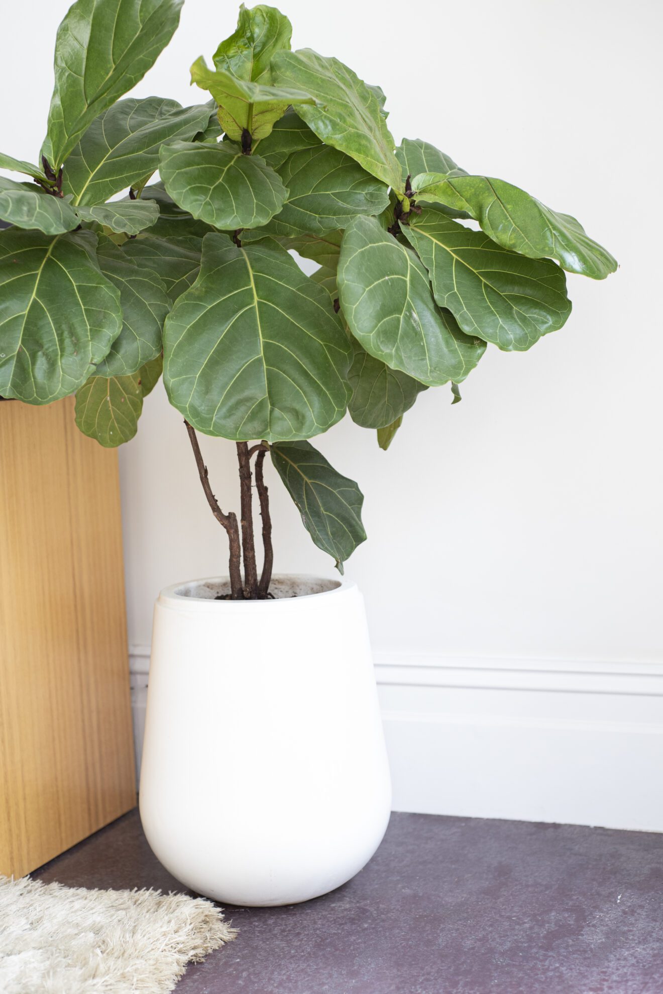 12 outdated home decor trends in 2024 - on lakeshore drive