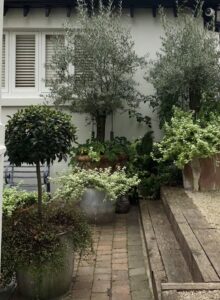 Elements of a European Courtyard Garden - on lakeshore drive
