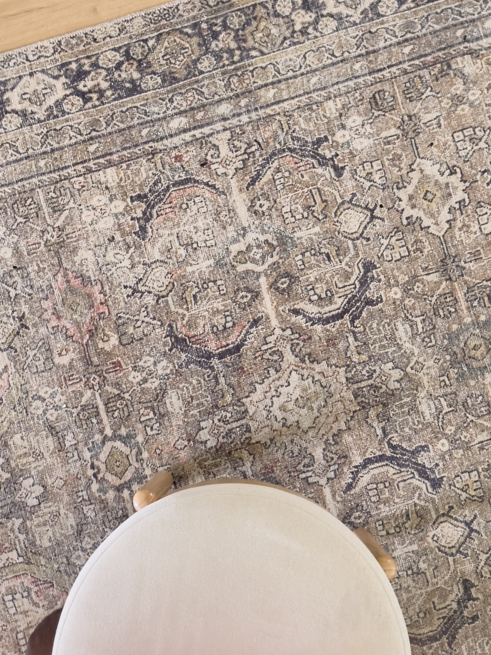 Organic Modern Living Room Rug